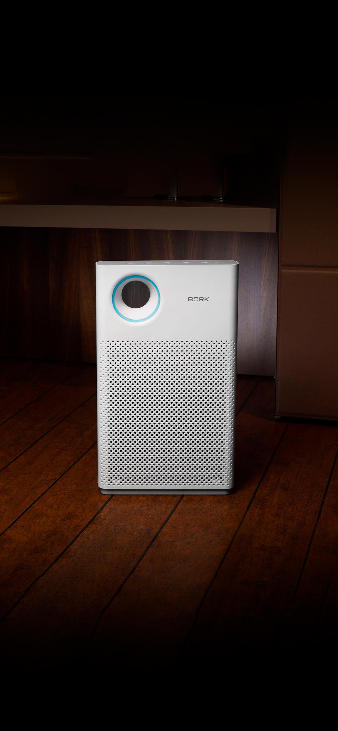 a503.jpg?t=1723714849