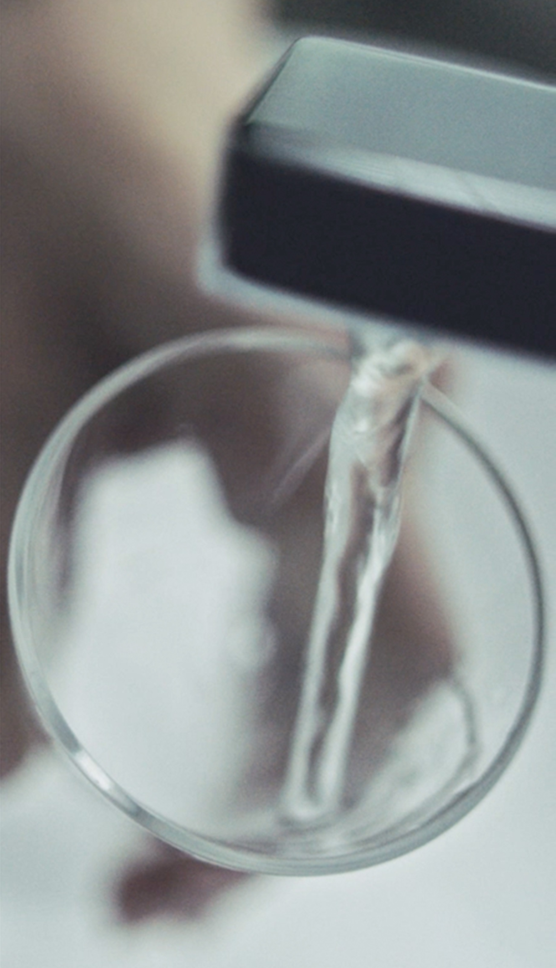 BORK-un rəsmi saytı. Düşünülmüş üstünlük.